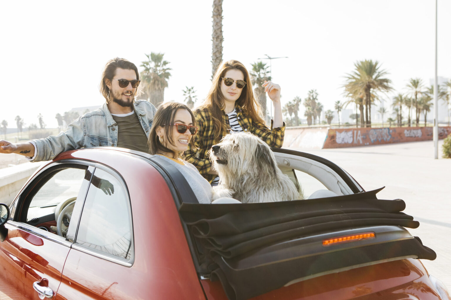 Car Rental Agency in Miami | Stride Rent A Car Rent a Car